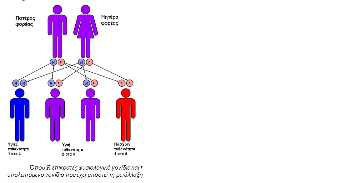 ΜΕΣΟΓΕΙΑΚΗ ΑΝΑΙΜΙΑ (νόσος του Cooley) | GenemedLab
